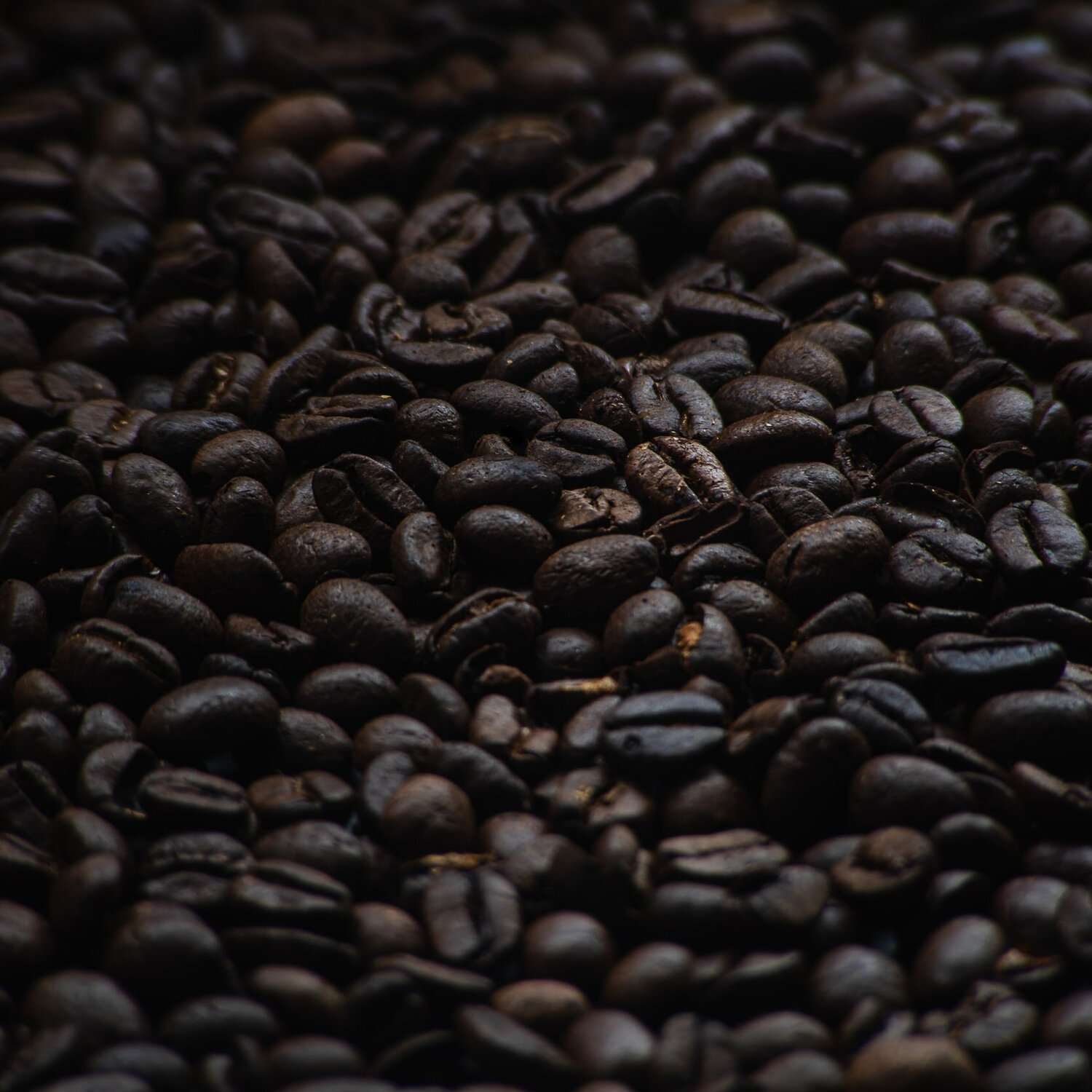 Understanding Coffee Roasting Levels and Their Impact on Flavor